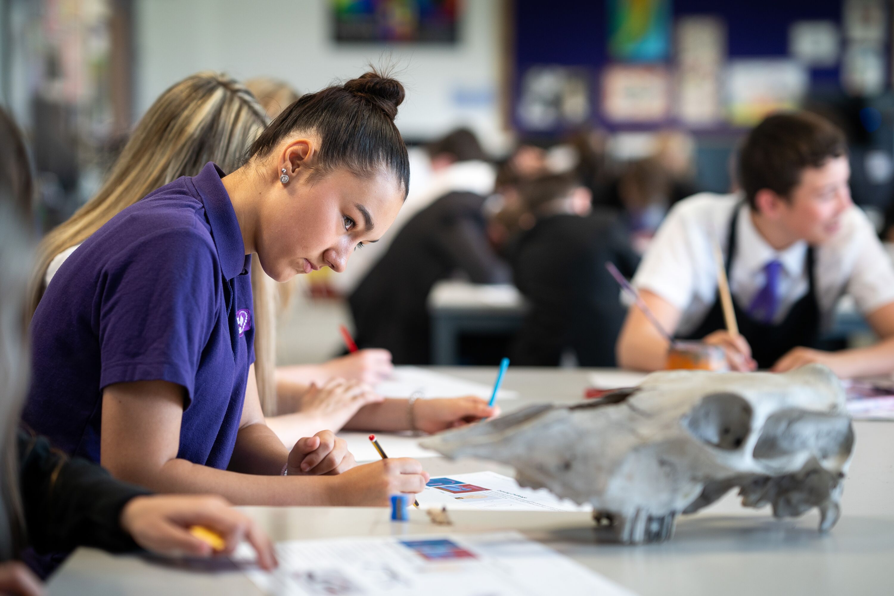 Homework - Havant Academy